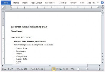 Business Marketing Plan Template for Microsoft Word