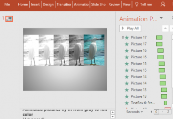 Animated Fly in Effect PowerPoint Template