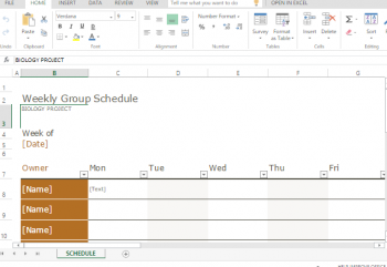 Free Excel Templates for Making Group Schedules